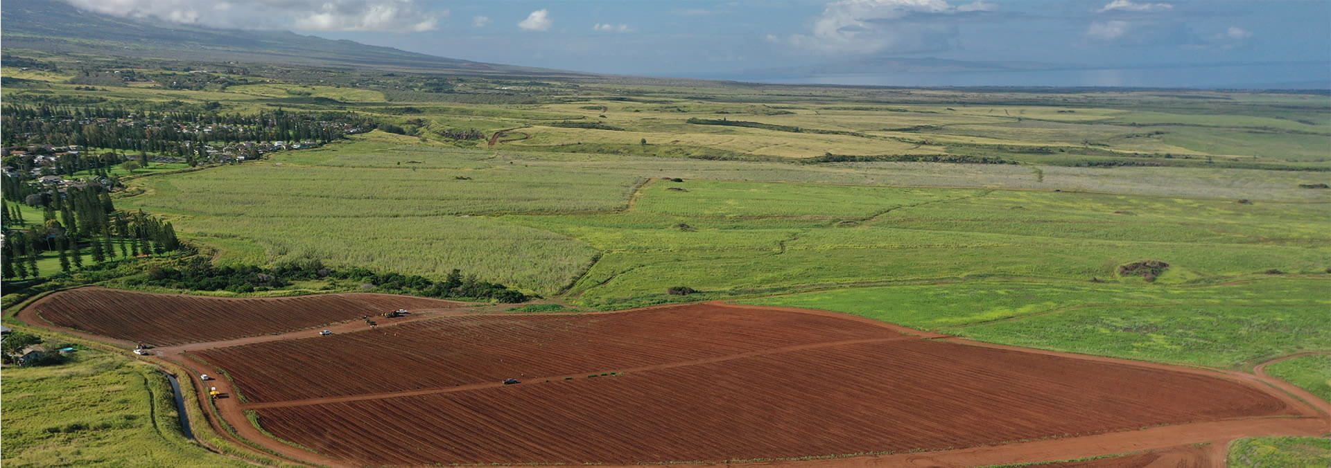 Commitment and Quality in Everything We Grow | Pomona Farming